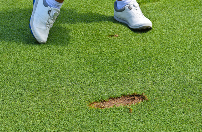 All You Need to Know About Golf Divots: Complete Guide